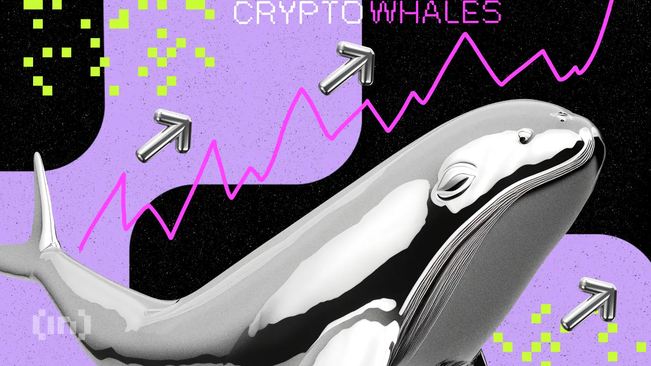 Analyzing Crypto Whale Activity: Are Whales Accumulating?